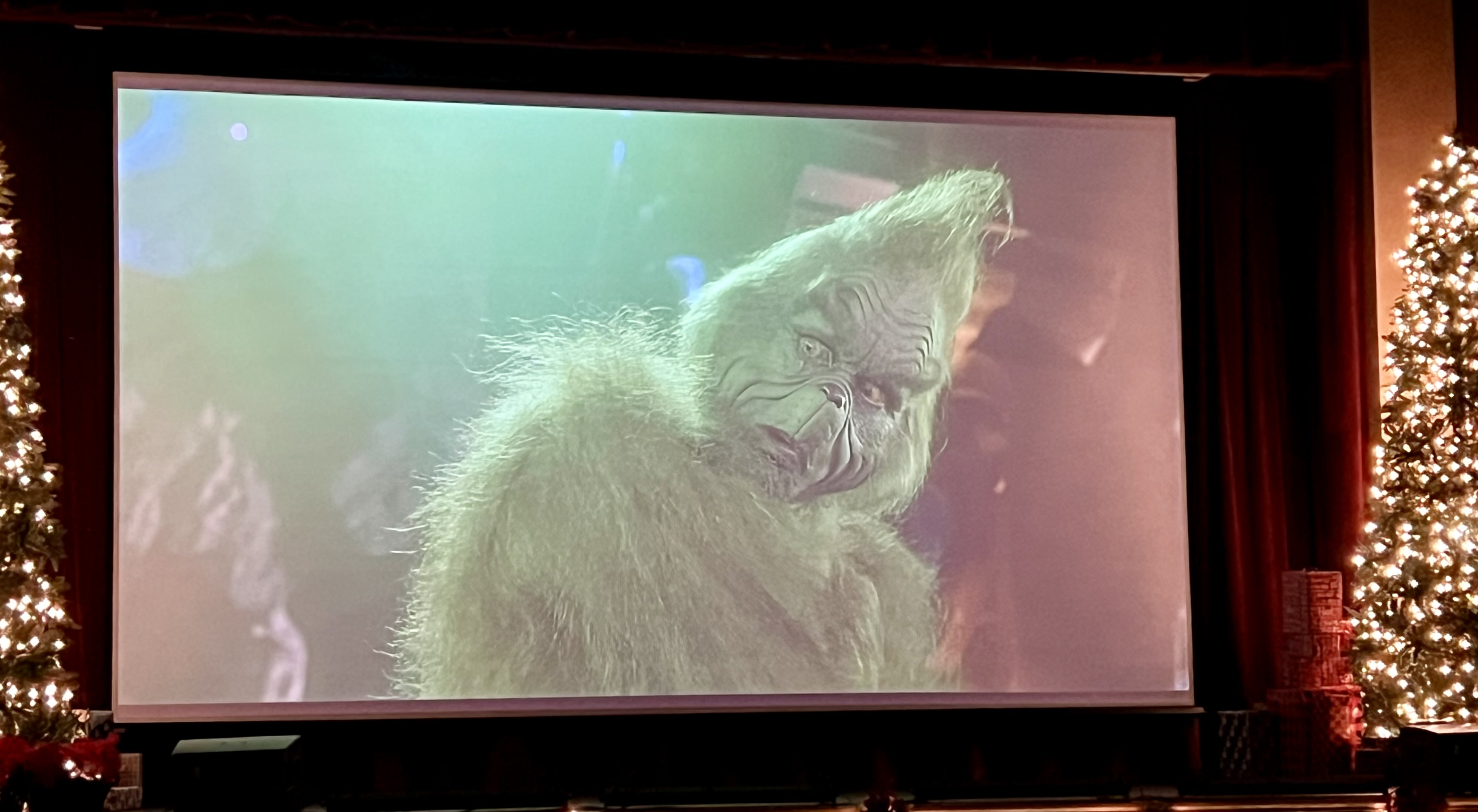 A SPECIAL PRIVATE PARTY AT THE PARK THEATER – BD Newsletter